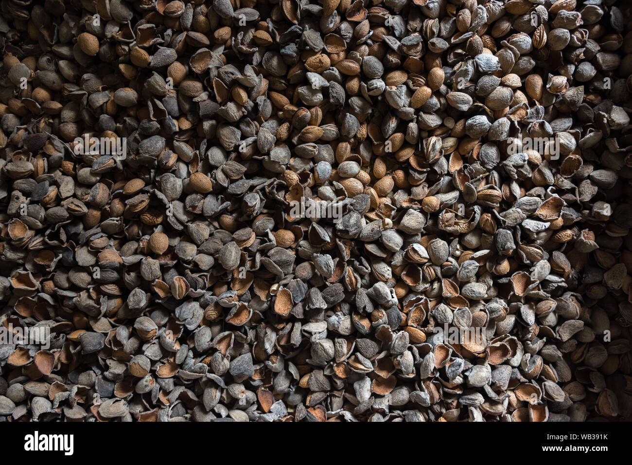 Soft shell almonds hi-res stock photography and images - Alamy