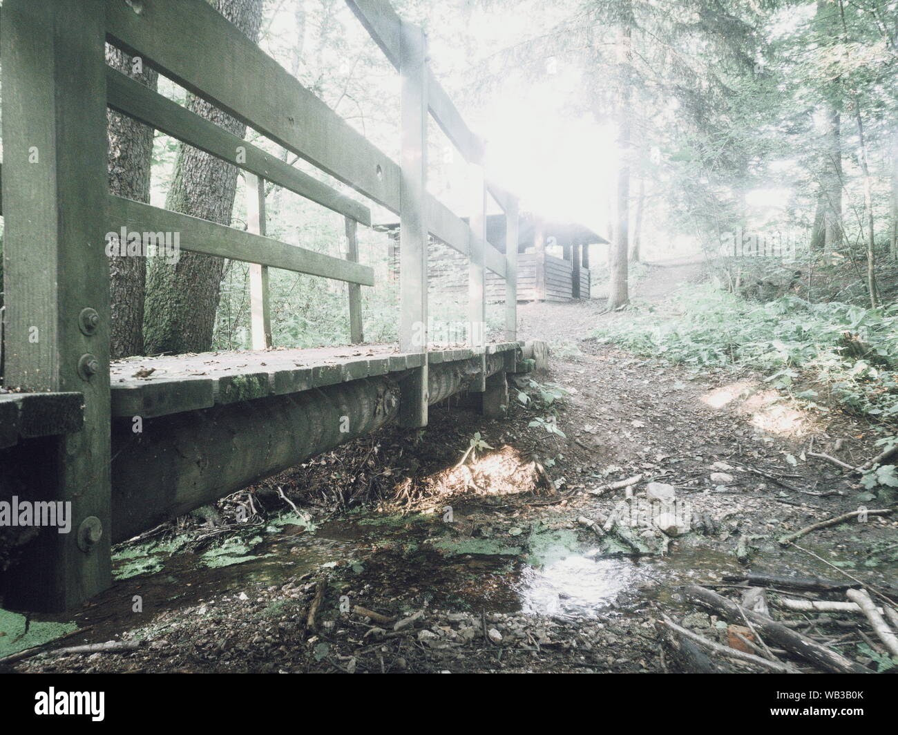 Old bridge in the forest Stock Photo - Alamy