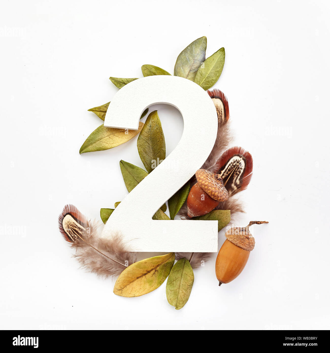 Autumn concept. Number two shape with autumn leaves, acorns and ...