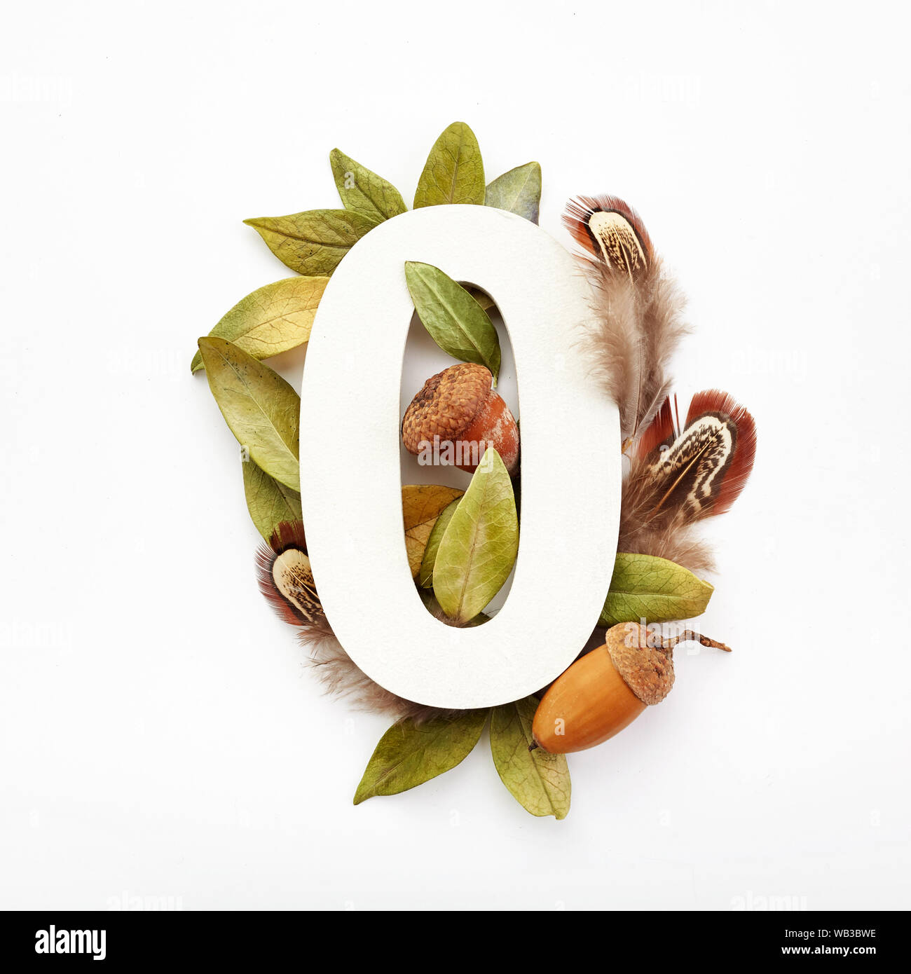 Autumn concept. Number zero shape with autumn leaves, acorns and ...