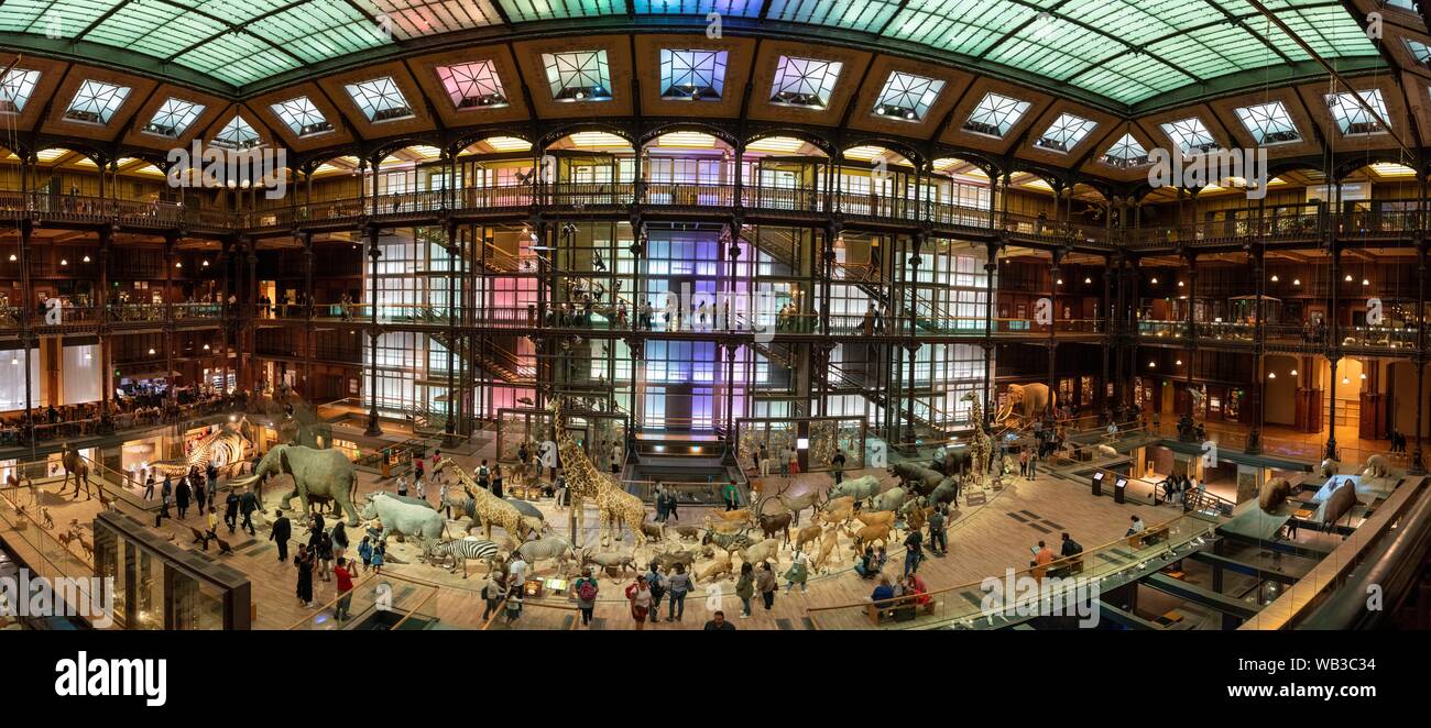 PARIS, FRANCE - August 16, 2019, Galeries Lafayette interior from top ...