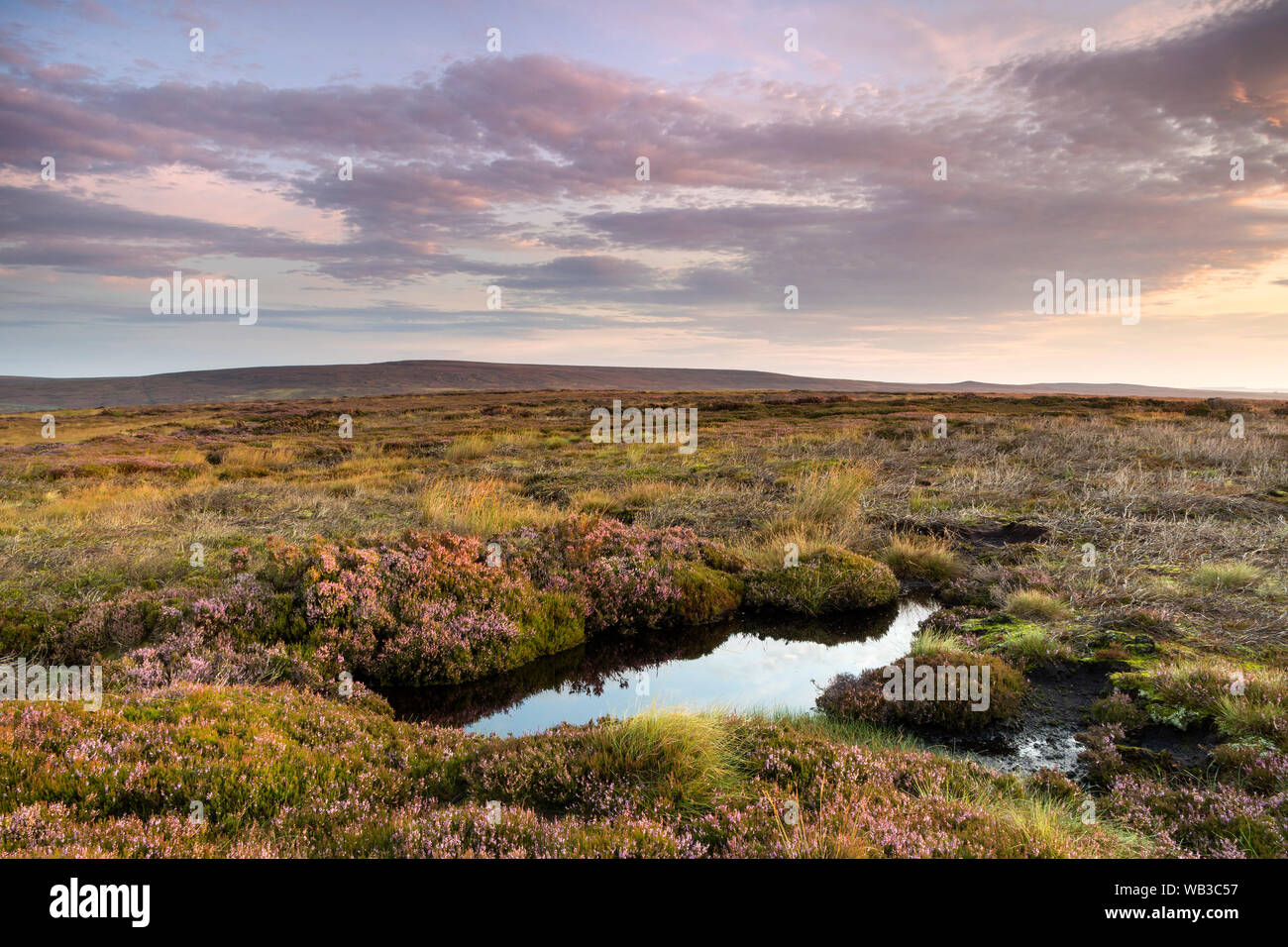 Peat pool pennines hi-res stock photography and images - Alamy