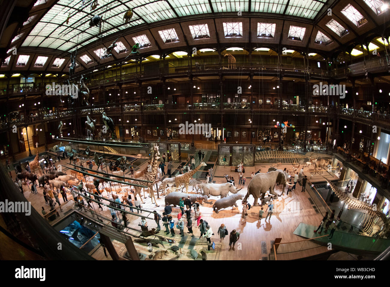 PARIS, FRANCE - August 14, 2019 Museum of Natural History, Grand ...
