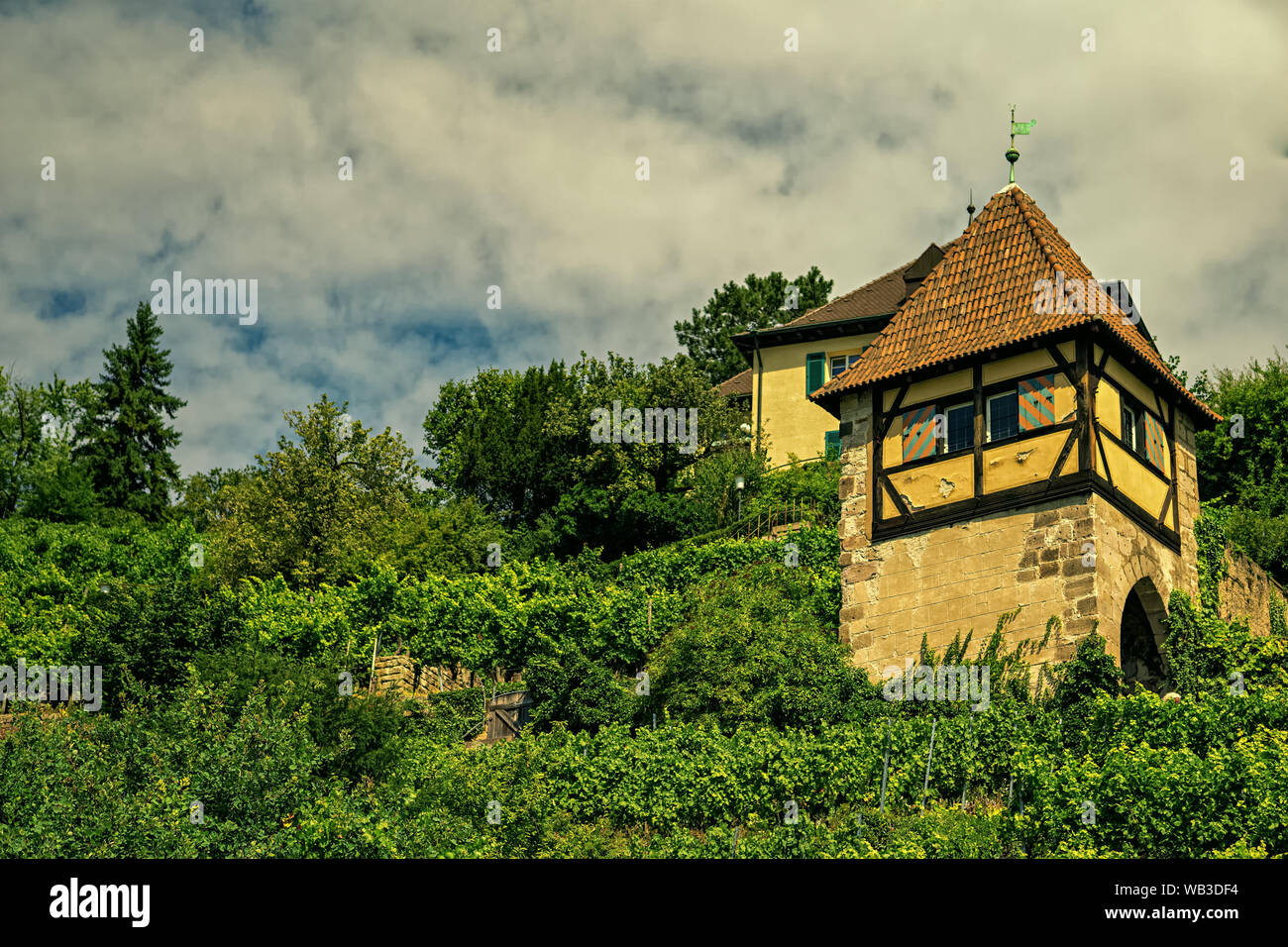 Vineyard watchtower hi-res stock photography and images - Alamy