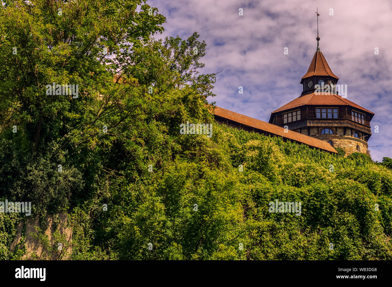 Vineyard watchtower hi-res stock photography and images - Alamy