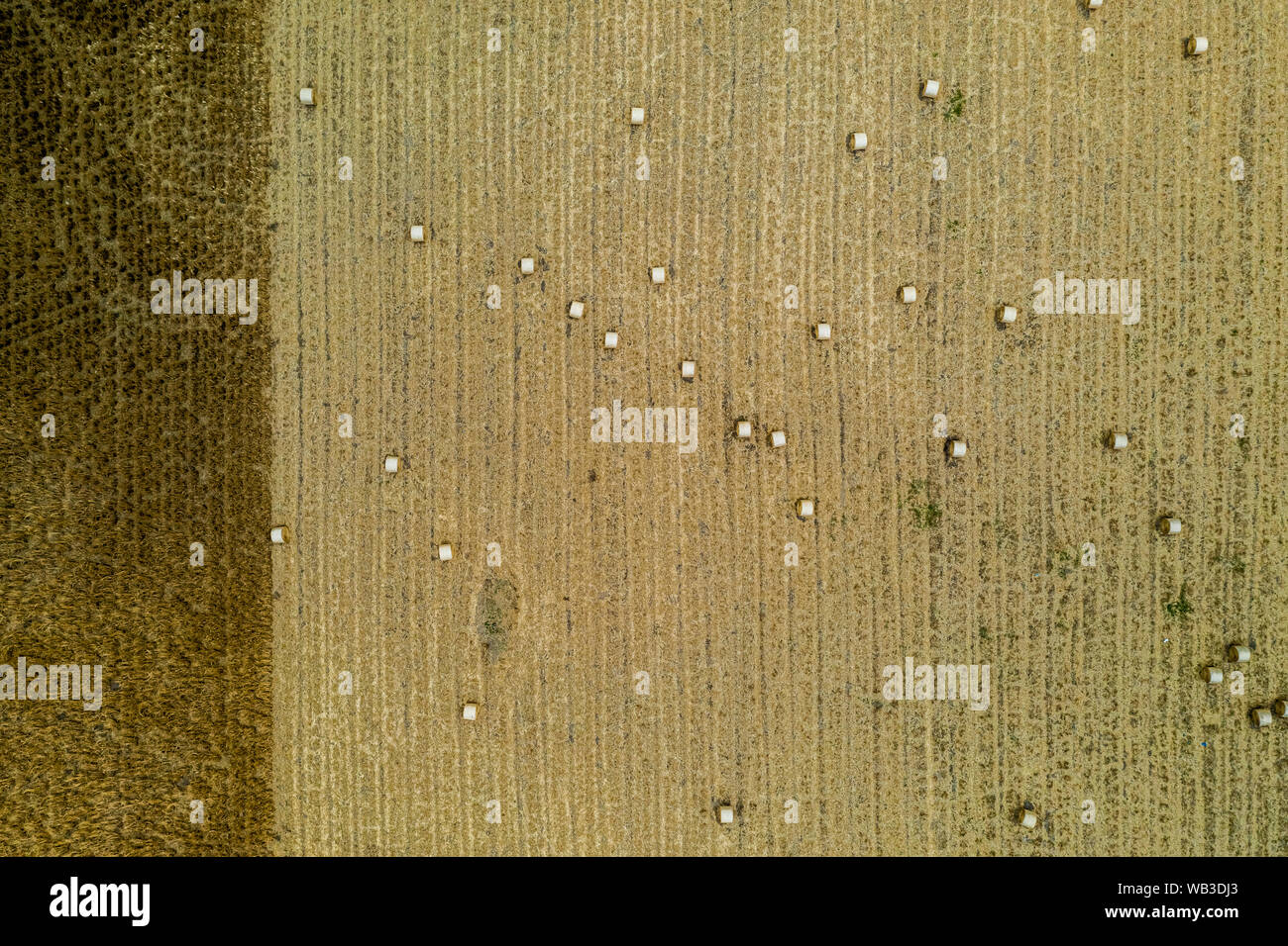 Top view of field with hay sheaves, aerial view Stock Photo - Alamy