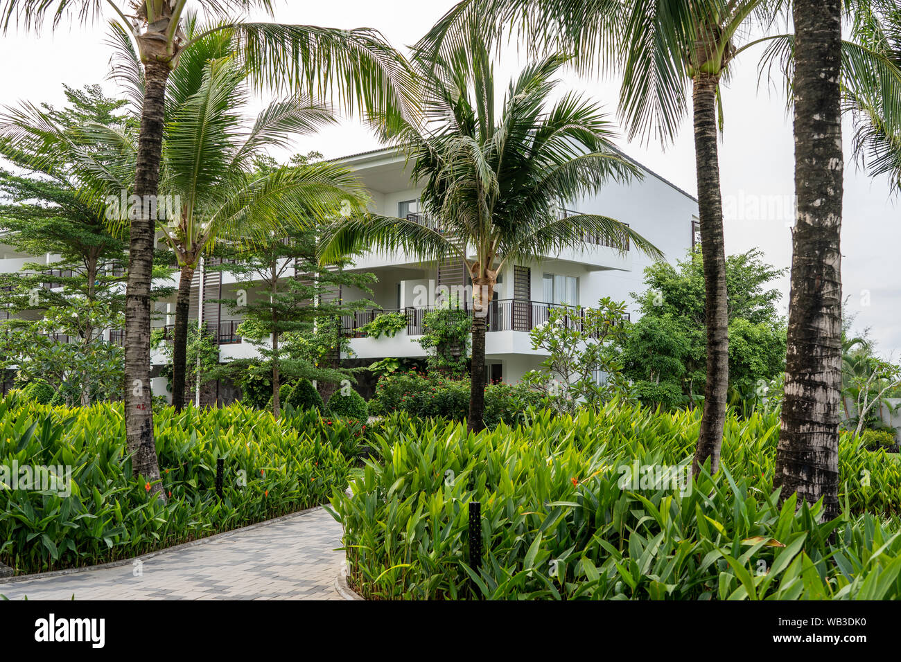 Palm tree in the tropical green garden Stock Photo - Alamy