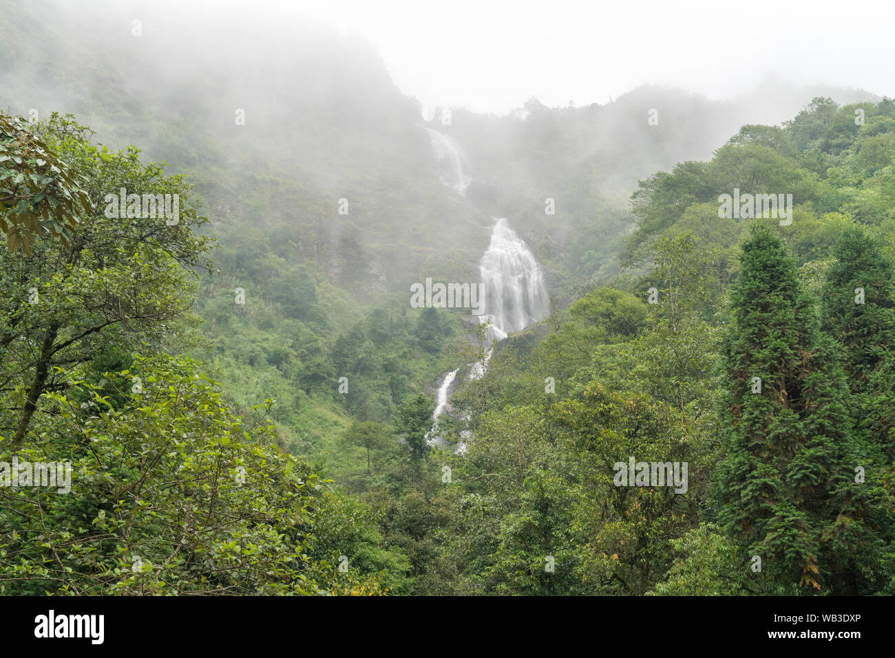 Thac Bac Waterfall (Silver Falls) on misty jungle in Sapa, Northern ...
