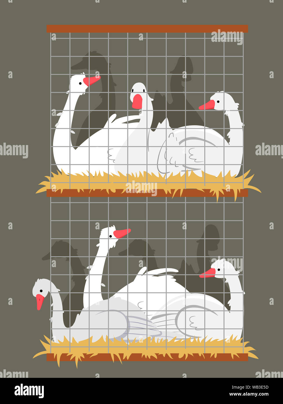 Illustration of Geese Crowded In a Stage of Cages. Overcrowding Stock ...