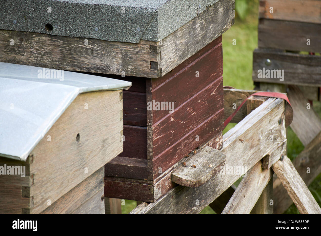 home made honey bee hives on a smallholding lake district, england, uk ...