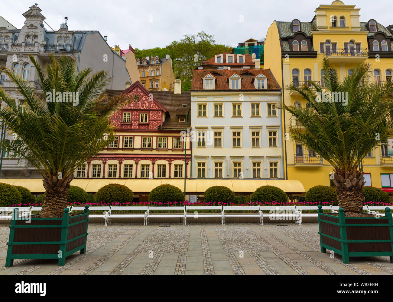 Decorative palm trees and building facades, Europe Stock Photo - Alamy