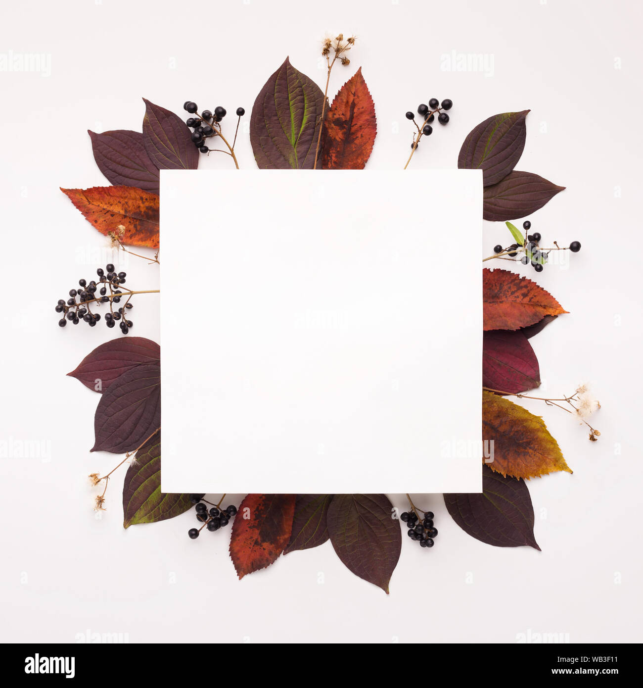 Autumn leaves square frame with copy space Stock Photo - Alamy