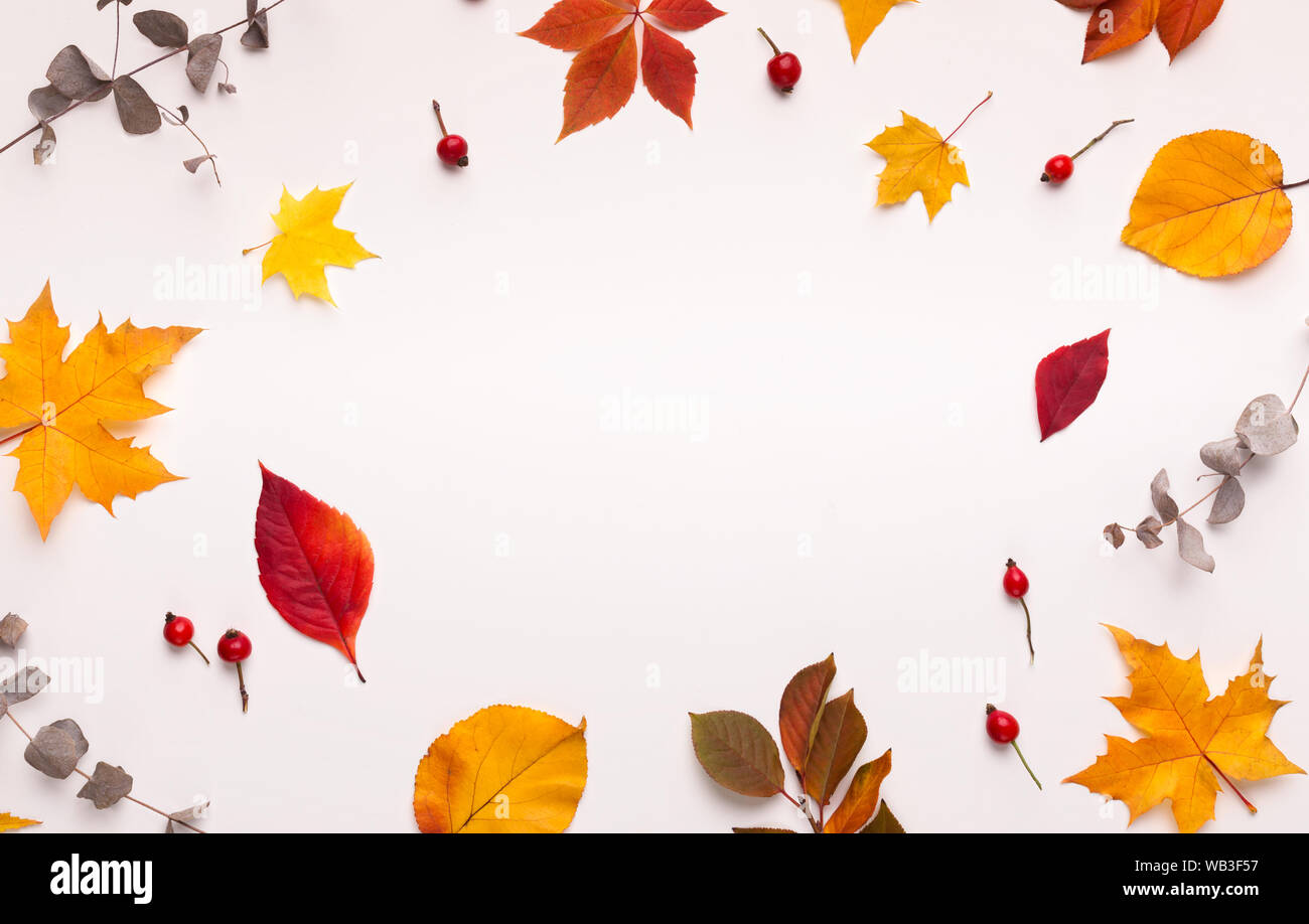 Bright summer background with round frame for logo on white Stock Photo ...