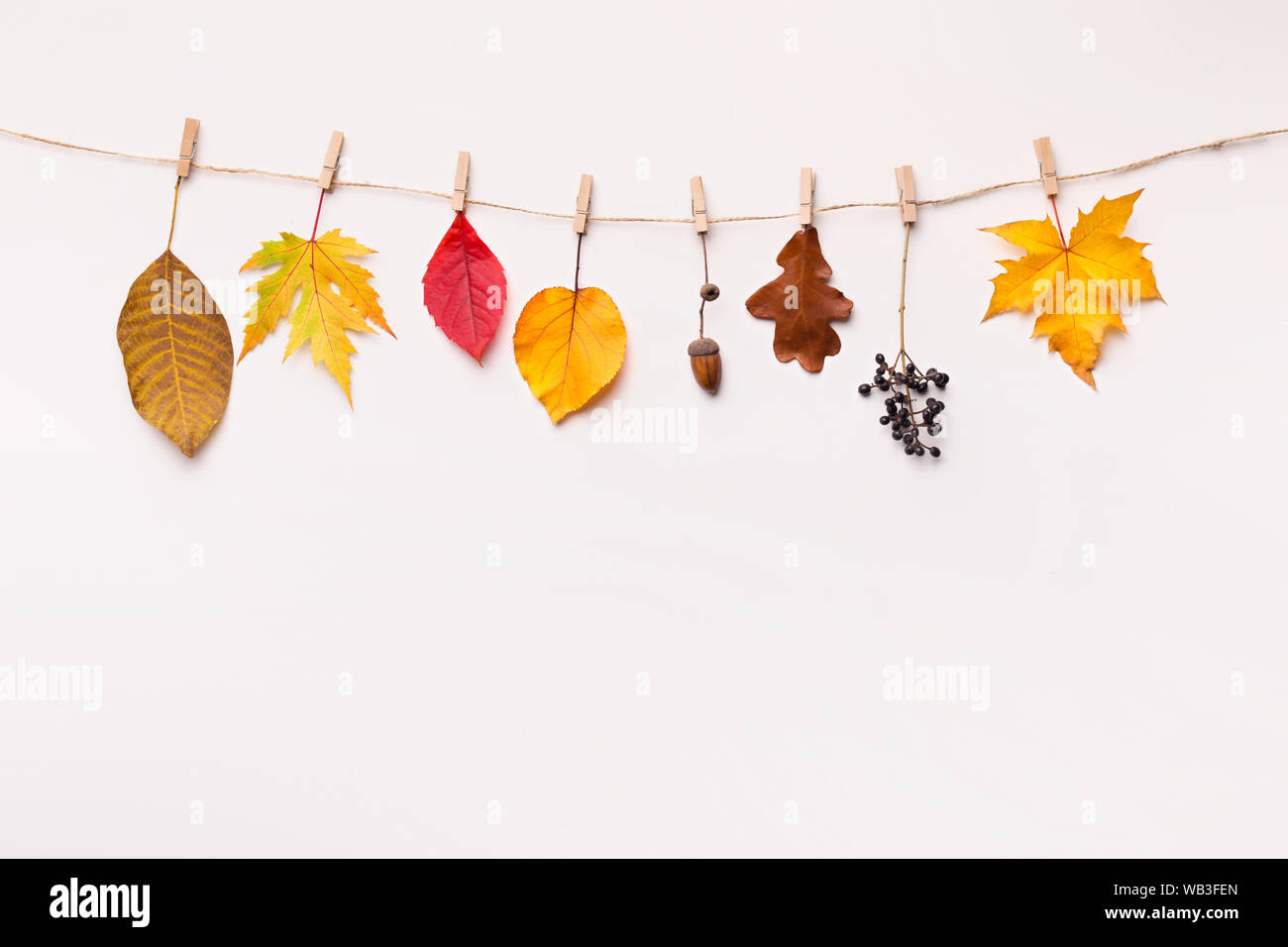 Rope leaves hi-res stock photography and images - Alamy