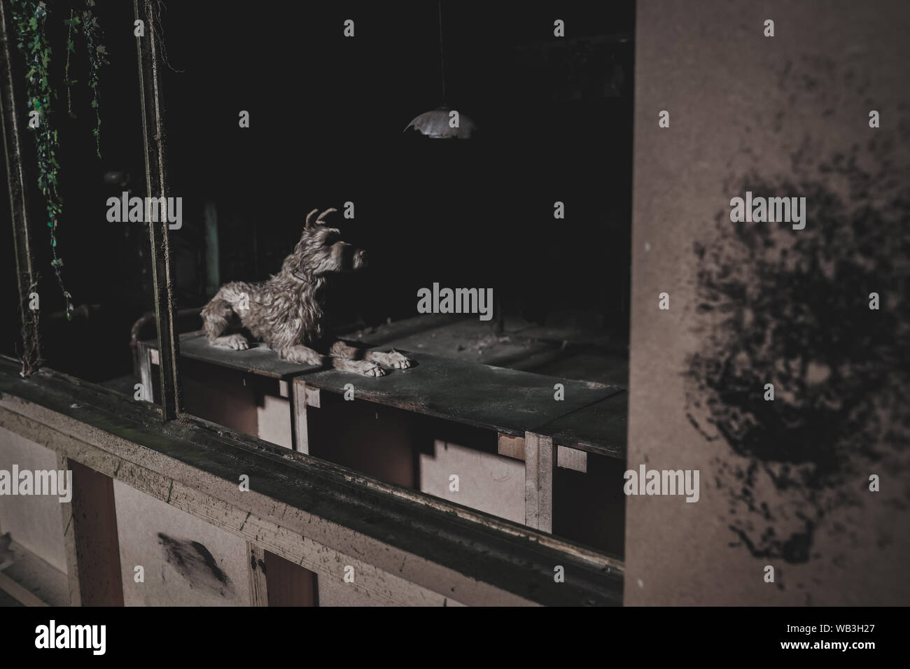 Sitting dog through window on display in London at the Isle of Dogs ...