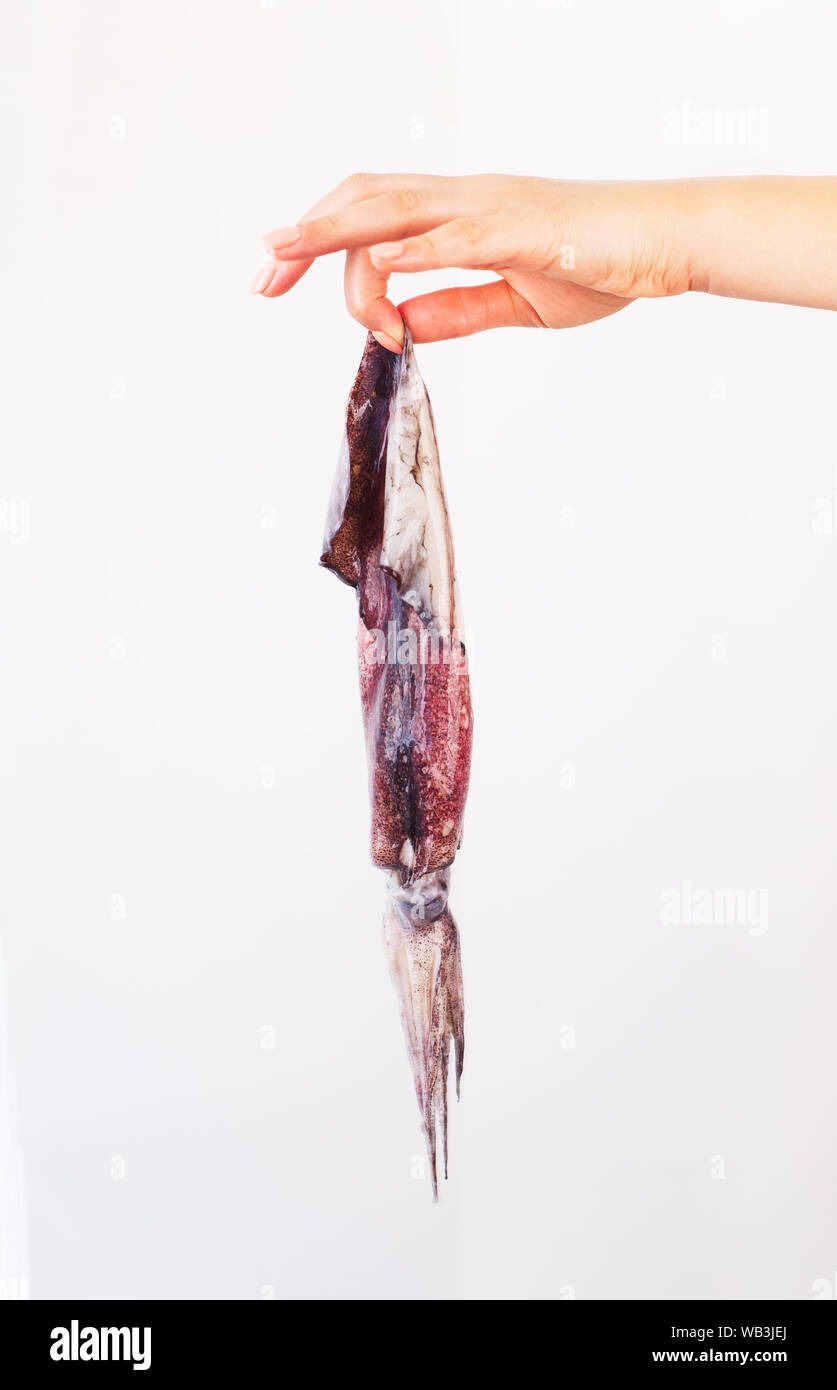 Female hand holds squid on a white background Stock Photo - Alamy