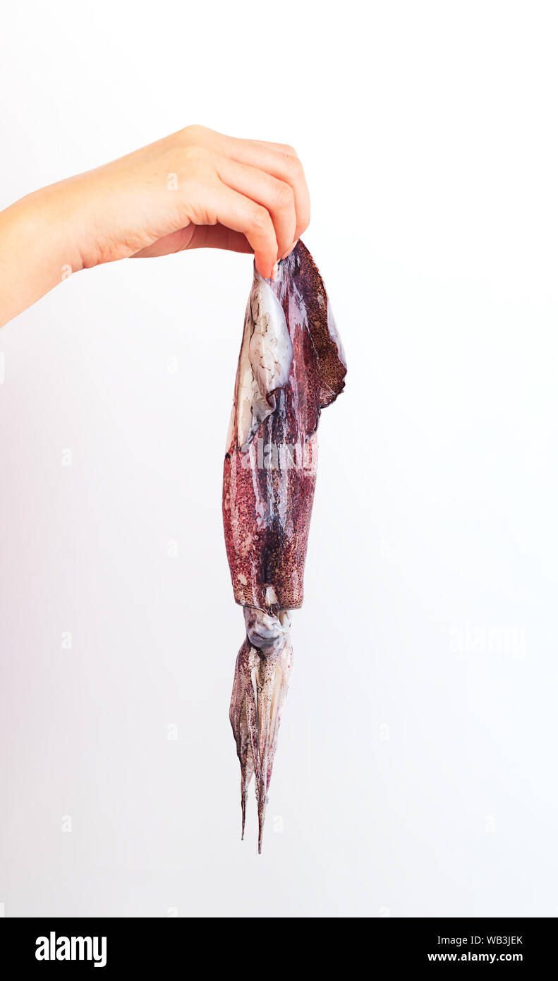 Giant squid underwater hi-res stock photography and images - Alamy