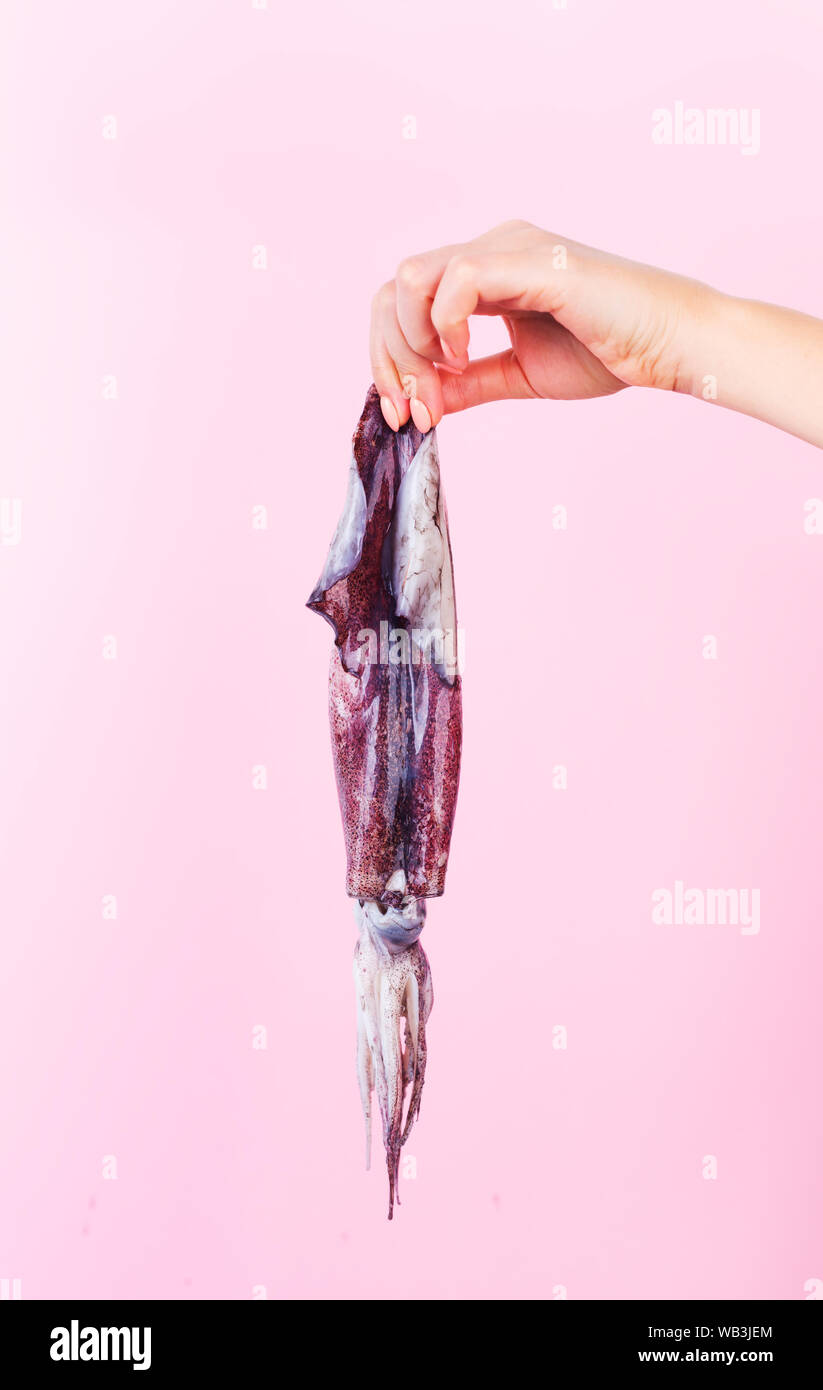 Female hand holds squid on a pink background Stock Photo - Alamy