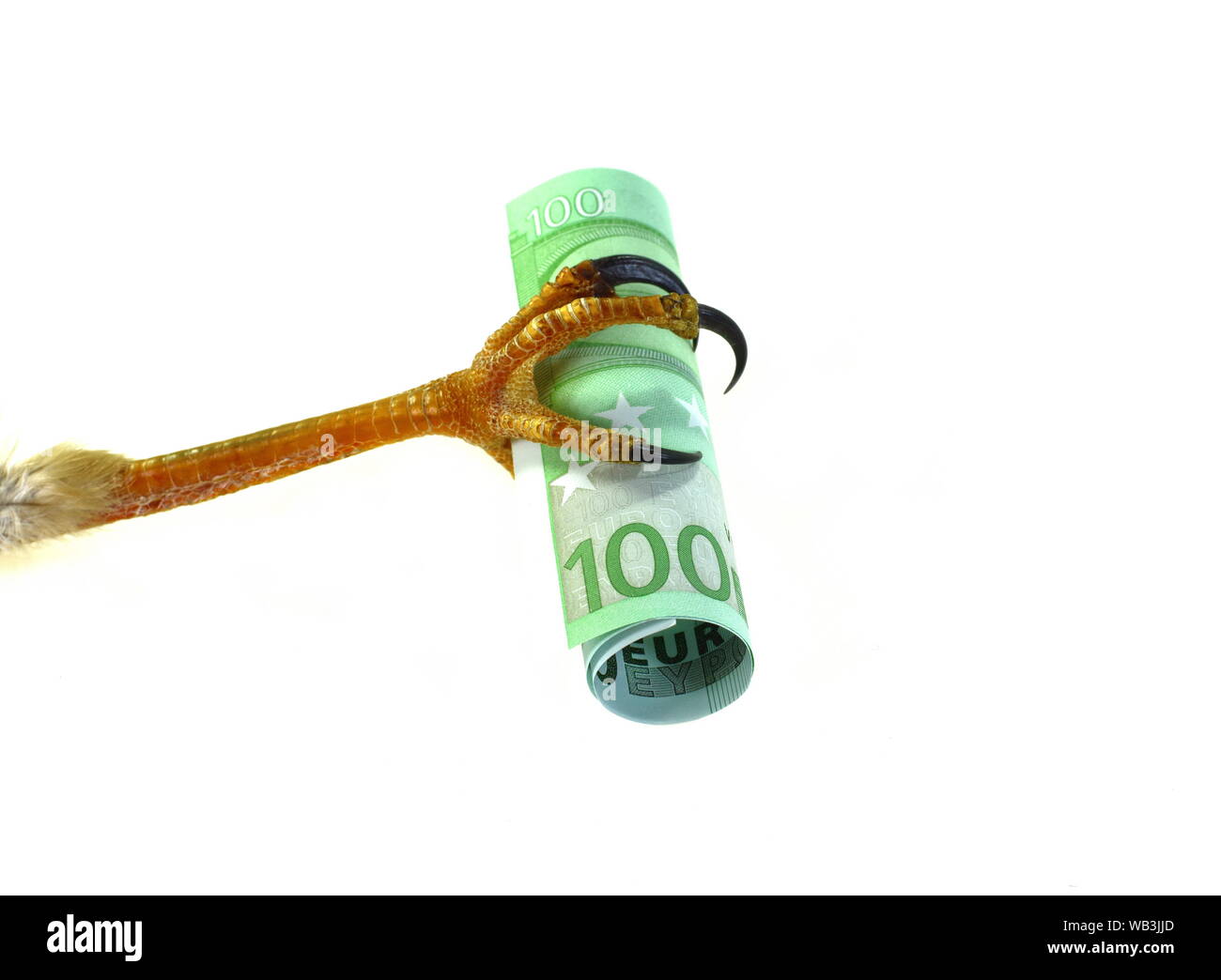 Euro hawk hi-res stock photography and images - Alamy