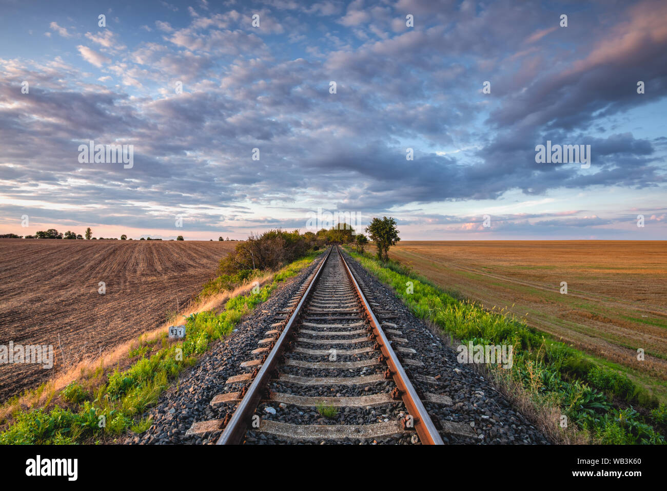 Grass track through field hi-res stock photography and images - Alamy