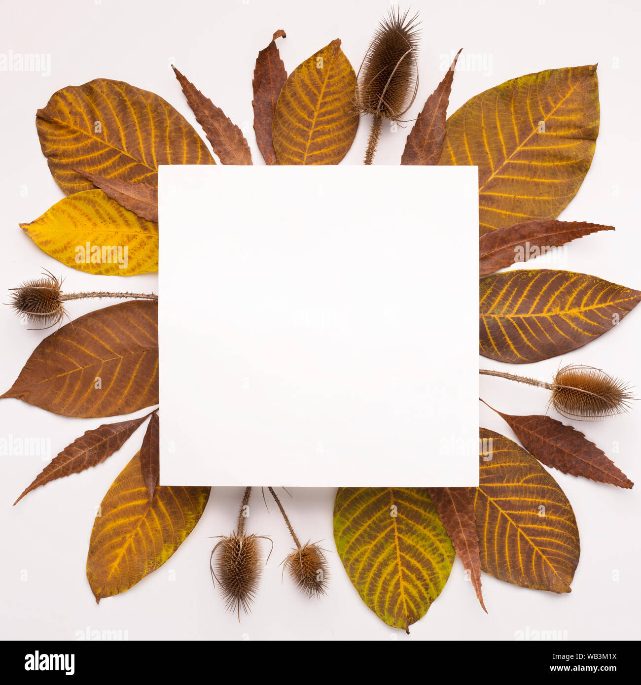 Forming square hi-res stock photography and images - Alamy