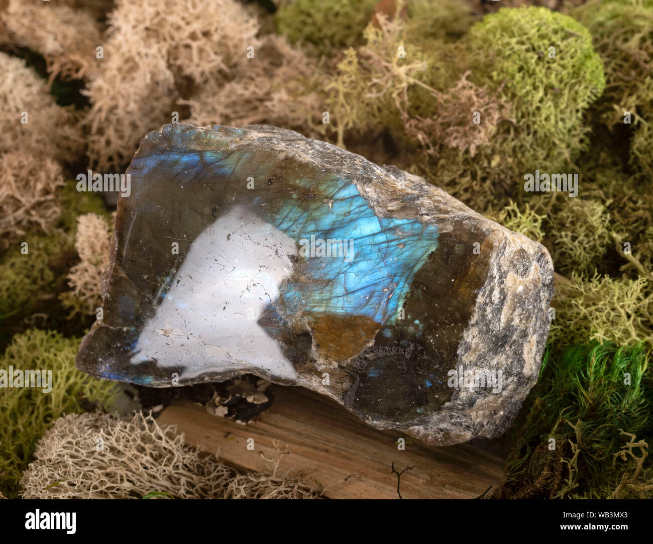 colorful labradorite in front of white background Stock Photo - Alamy