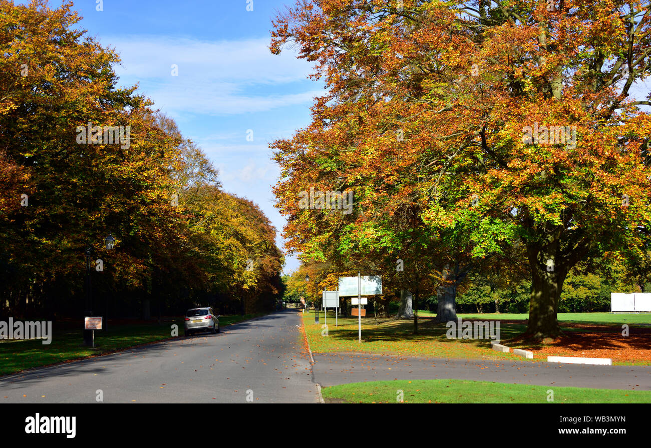Autumn View Along North venue in Whiteley Village Stock Photo - Alamy