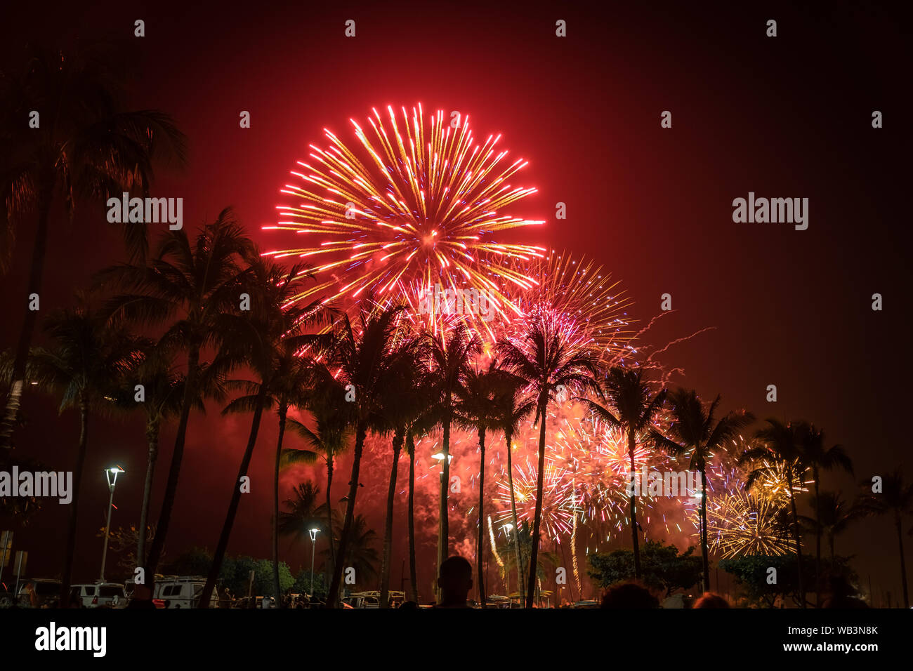 Fourth of July fireworks in Hawaii with palm trees Stock Photo - Alamy