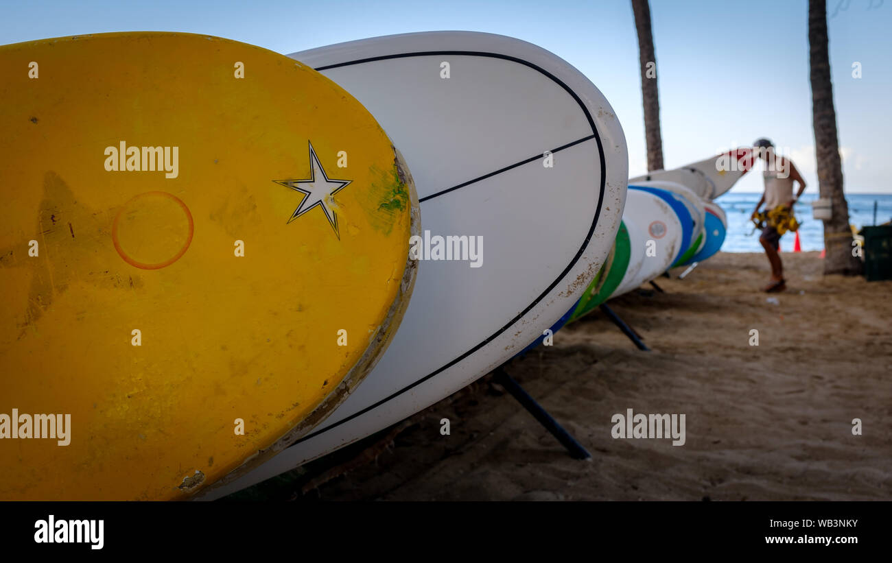 Surfboards on beach in Hawaii with palm trees Stock Photo - Alamy