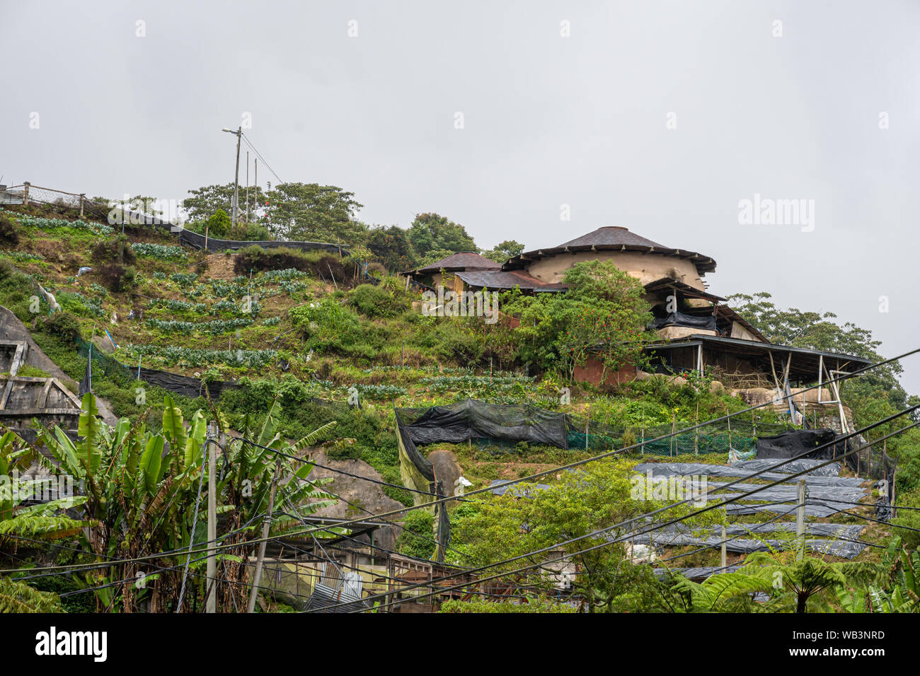 Terrace farming steep hi-res stock photography and images - Alamy