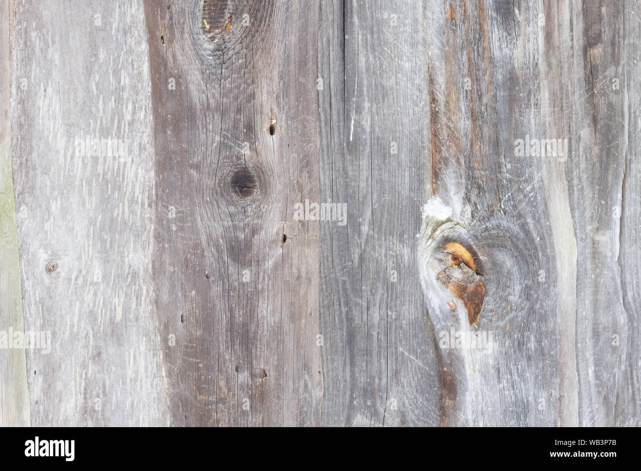 Cracked tree background image. Old aged tree surface Stock Photo - Alamy