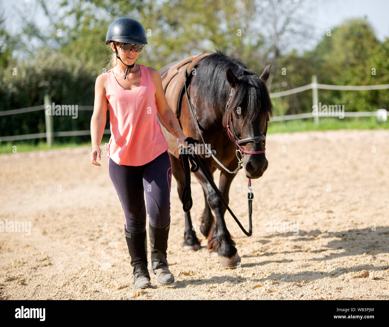 riding girl are training her black horse Stock Photo - Alamy