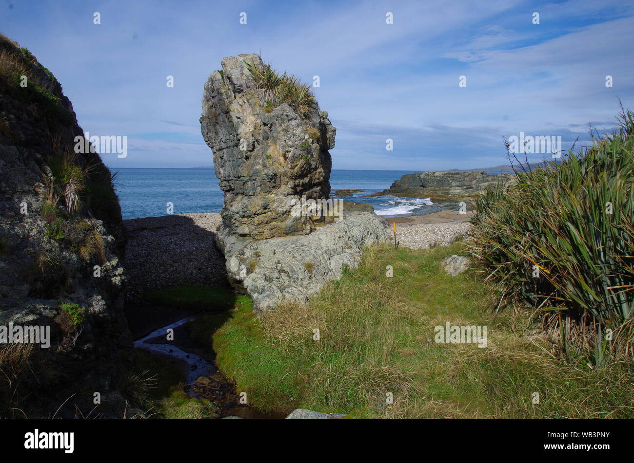 sea stack. Te Araroa Trail. Colac Bay. Southland. South Island. New ...