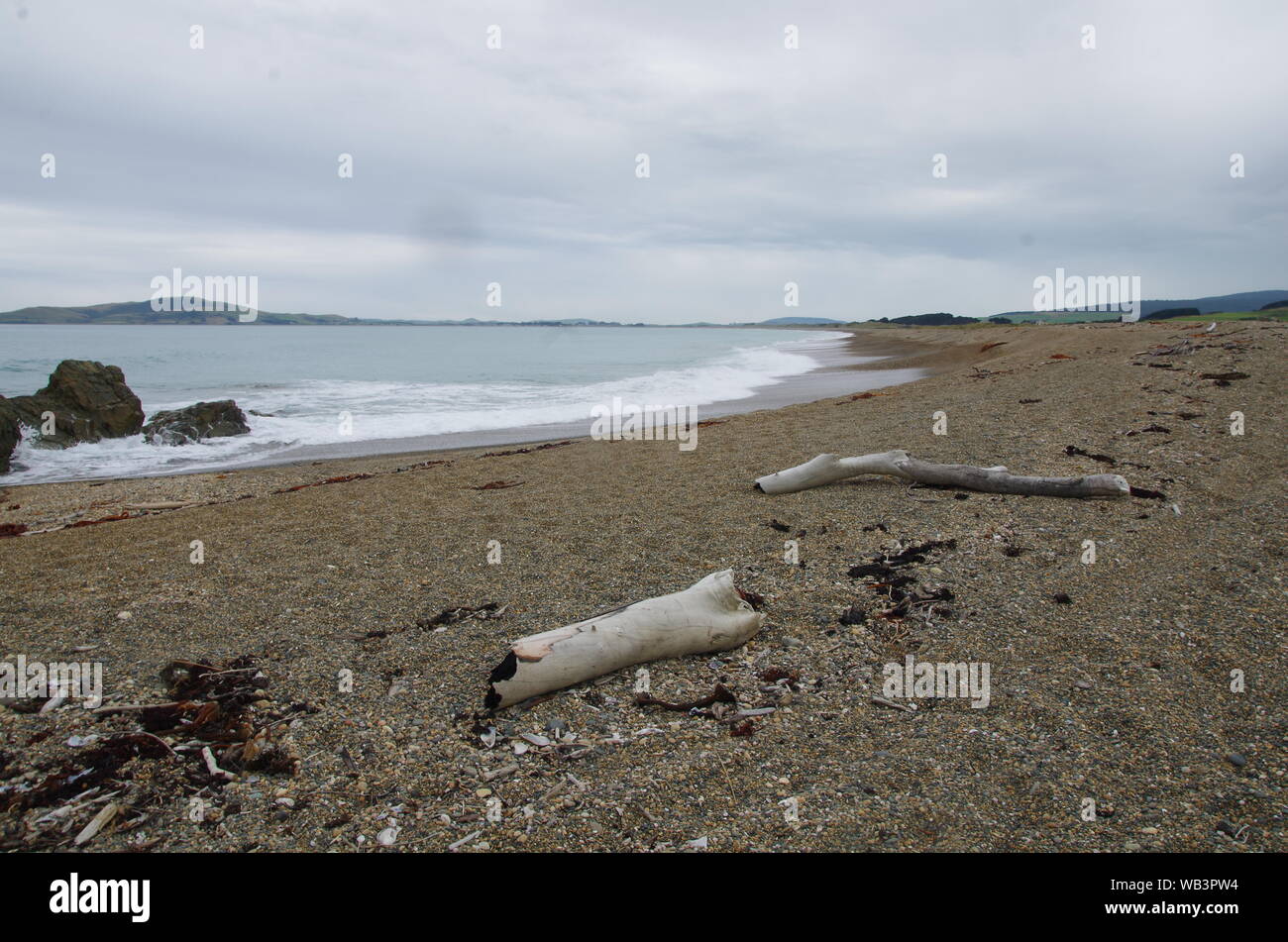 Beach driftwood. Te Araroa Trail. Colac Bay. Southland. South Island ...