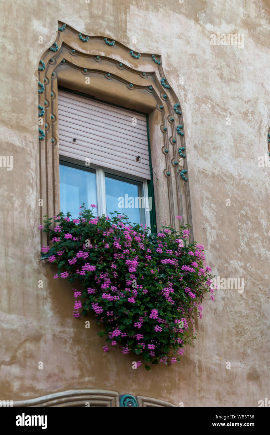 Little pink flowers decorating a window. Building facade Stock Photo ...