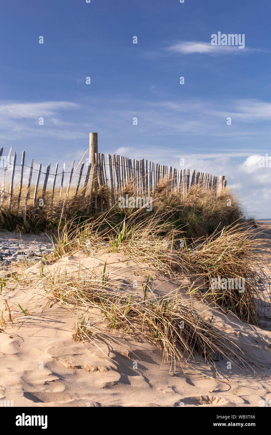 Conwy morfa sand dunes hi-res stock photography and images - Alamy
