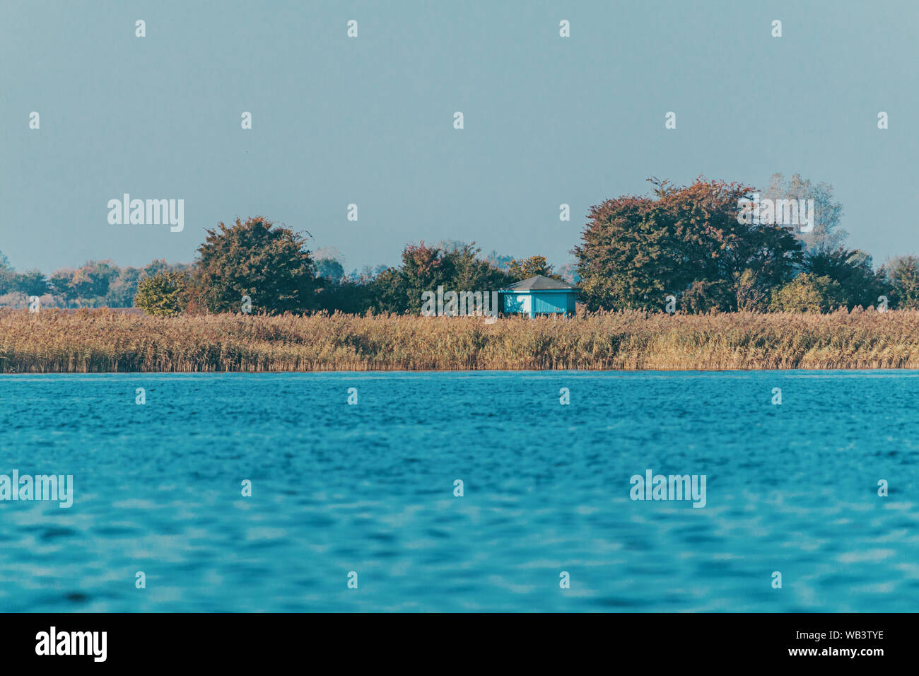 Baltic sea coast full trees hi-res stock photography and images - Alamy