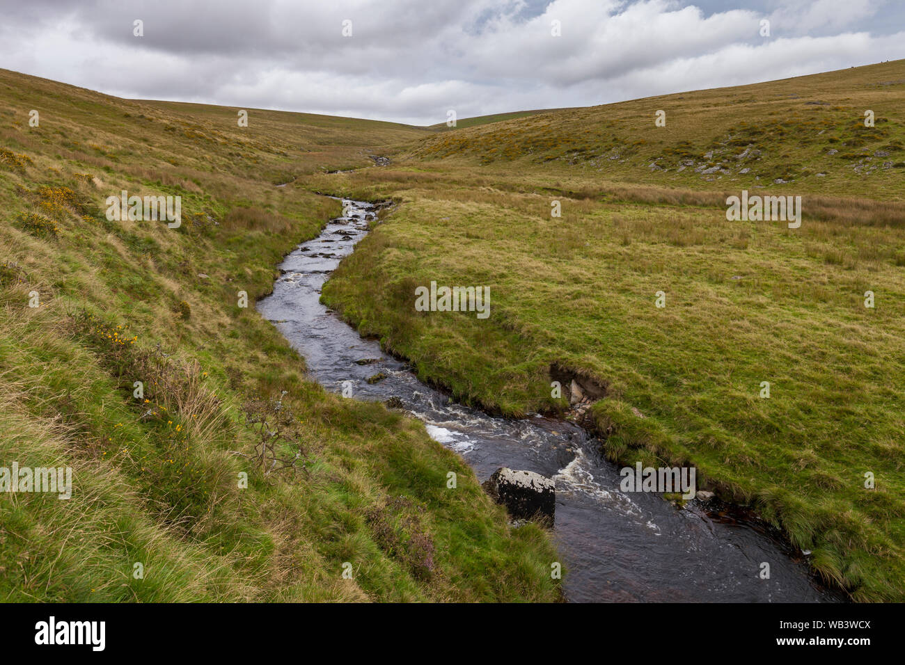 Stream through moorland hi-res stock photography and images - Alamy