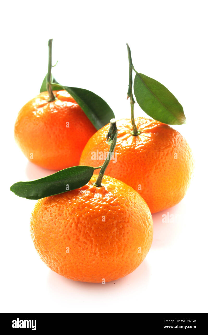 Three tangerines with leaves hi-res stock photography and images - Alamy