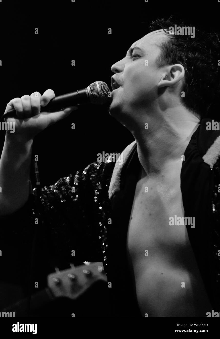 Pigs Pigs Pigs Pigs Pigs Pigs Pigs (Matt Baty pictured) at Green Man ...