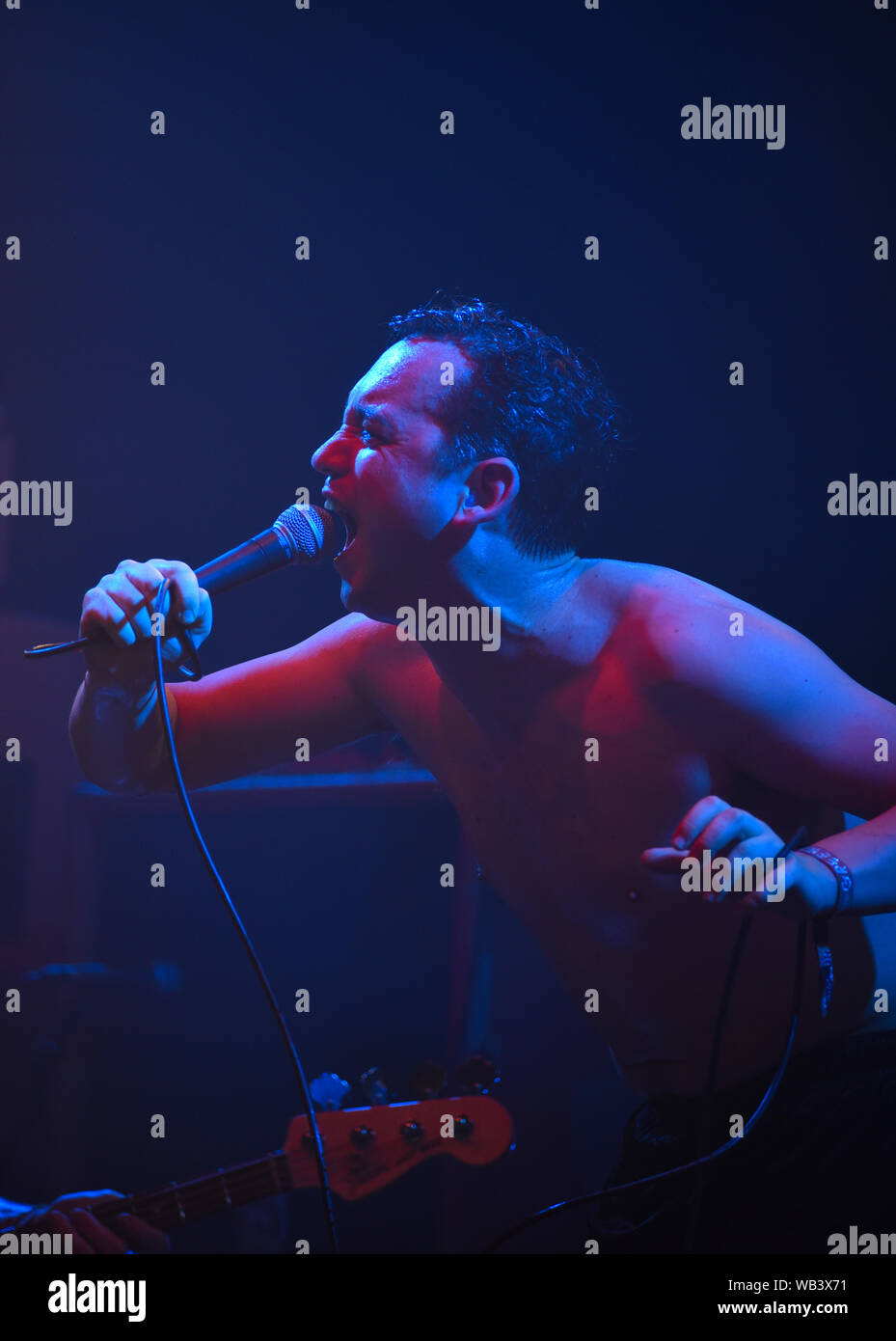 Pigs Pigs Pigs Pigs Pigs Pigs Pigs (Matt Baty pictured) at Green Man ...