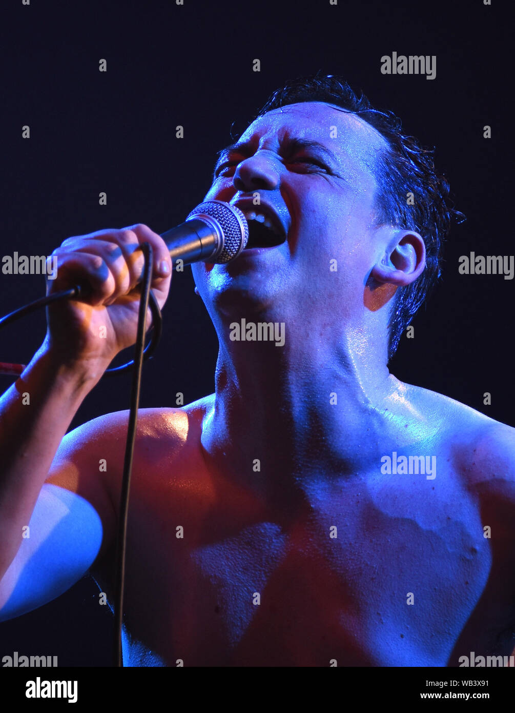 Pigs Pigs Pigs Pigs Pigs Pigs Pigs (Matt Baty pictured) at Green Man ...