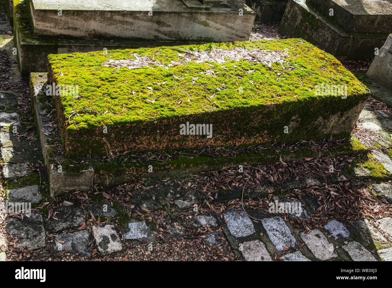 ancient tomb covered with moss Stock Photo - Alamy