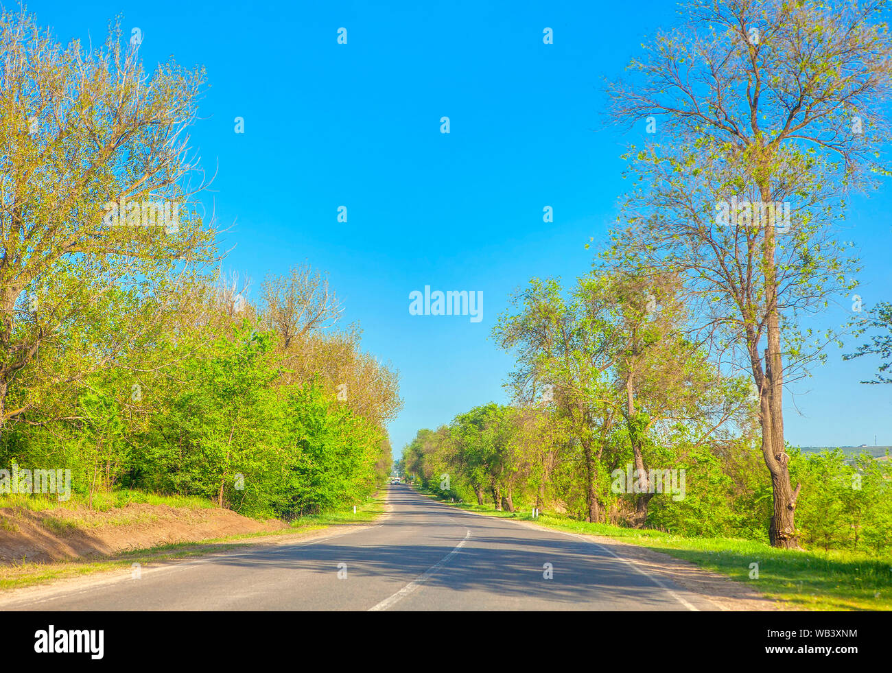 Driving car in the summer day Stock Photo - Alamy