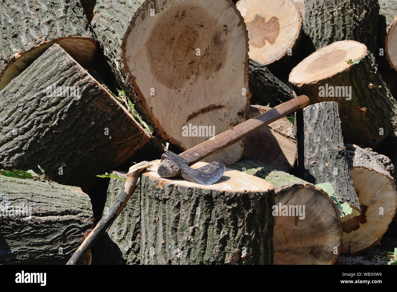 Wood chopper hi-res stock photography and images - Alamy