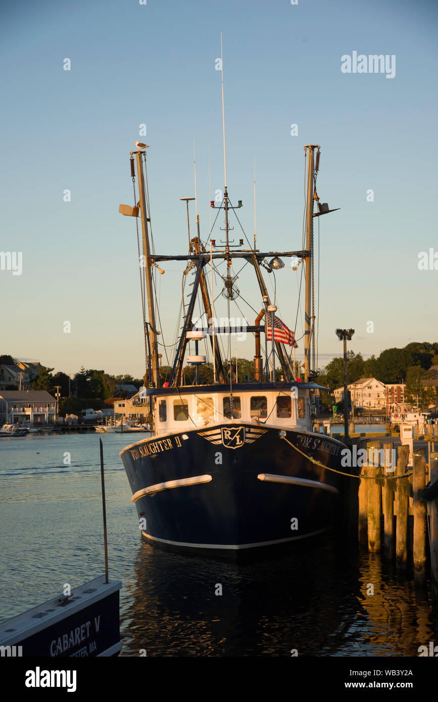 The Gloucester fishing fleet with afternoon light Stock Photo - Alamy