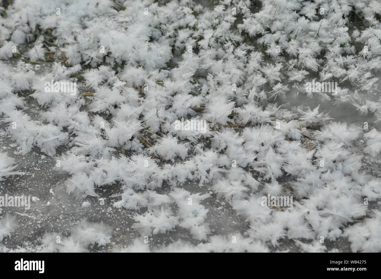 Sheet avalanche hi-res stock photography and images - Alamy