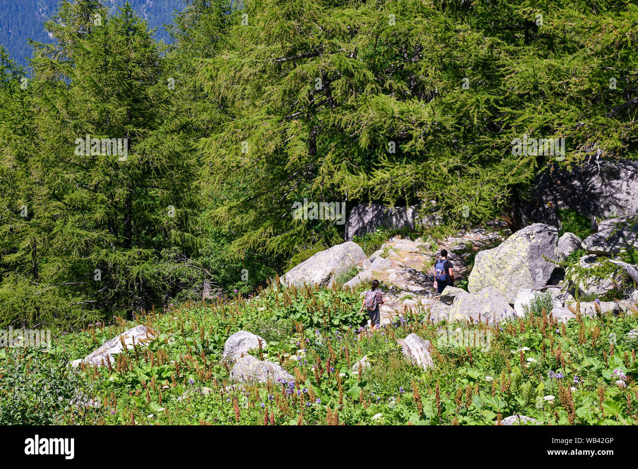 Elevated view of a young couple of tourists hiking on a footpath in an ...