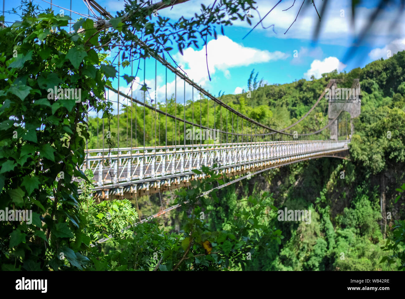 suspended bridge on la reunion island Stock Photo - Alamy