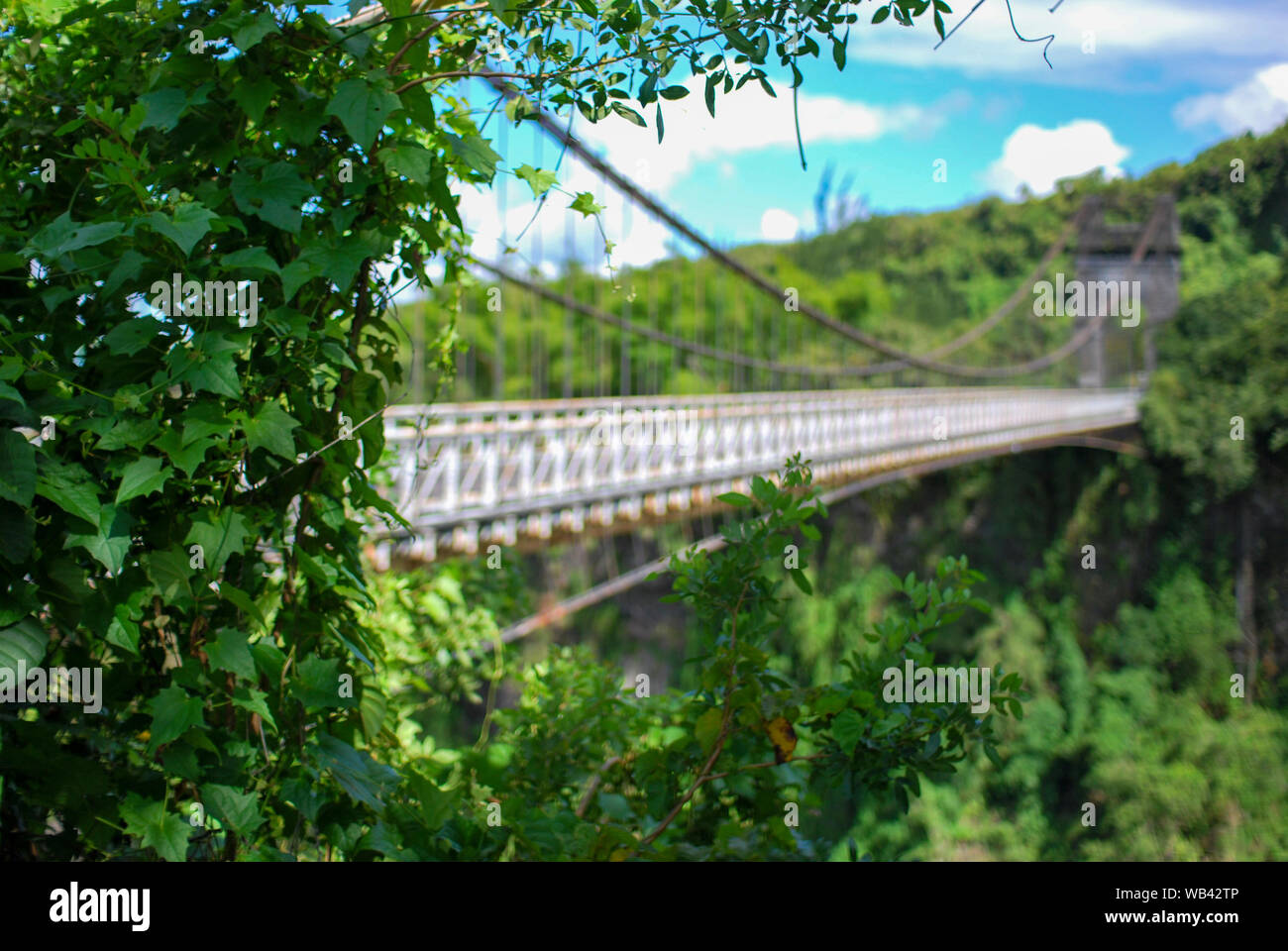 suspended bridge on la reunion island Stock Photo - Alamy